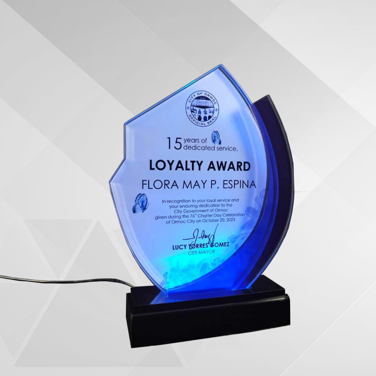 Lighted Acrylic Awards Plaque — Jay C. Designs